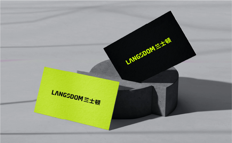 关于我们 – langsdom兰士顿